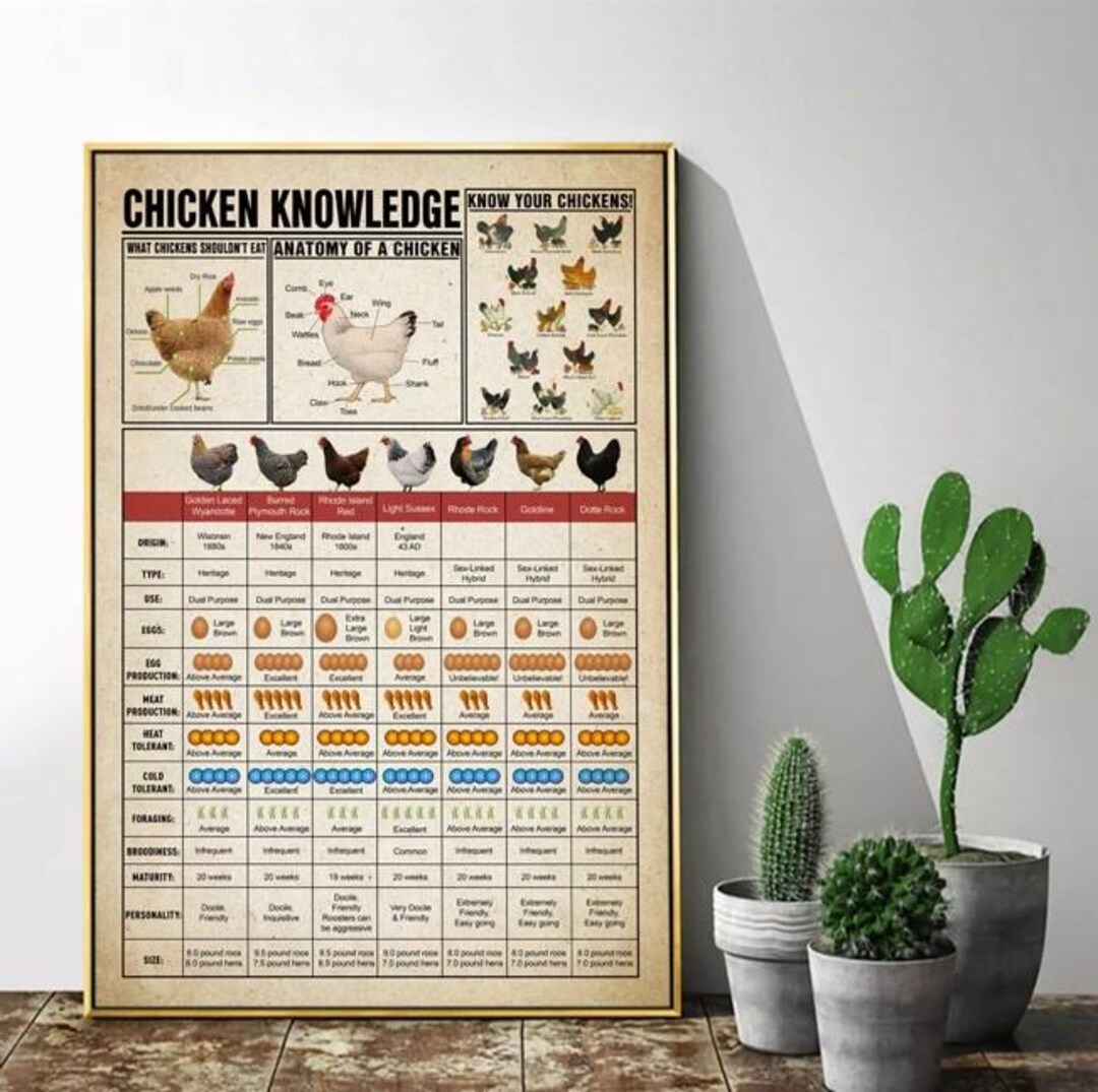 Chicken Knowledge Poster, Version :2, Chicken Home Decor Wall Art ...