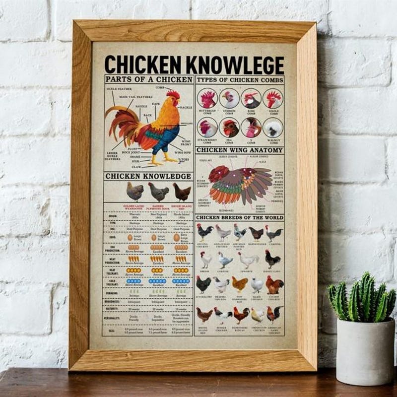 Chicken Breeds Poster - Etsy
