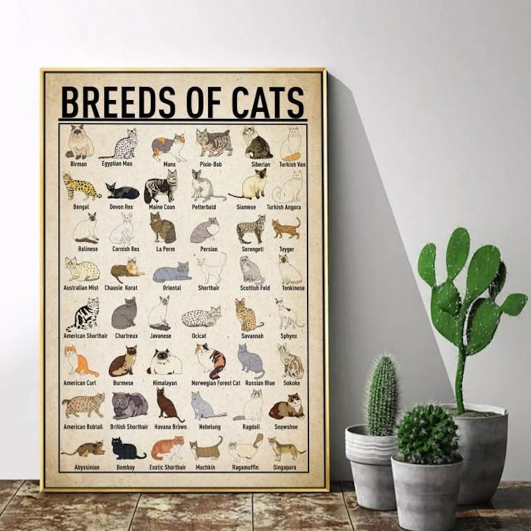 Breeds of Cats Knowledge Poster, Types of Cats Wall Art Home Decor ...