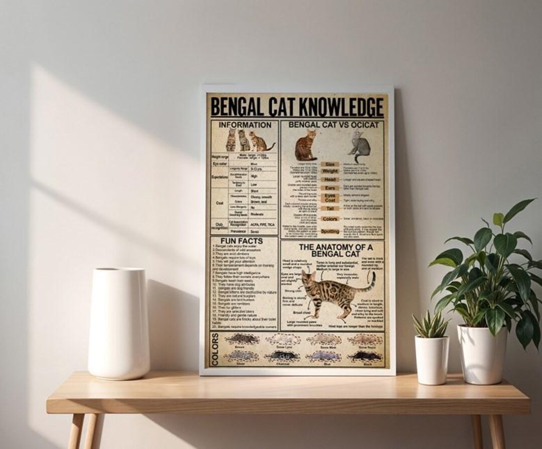Bengal Cat Knowledge Poster, Bengal Cat Information Home Decor Wall Art ...