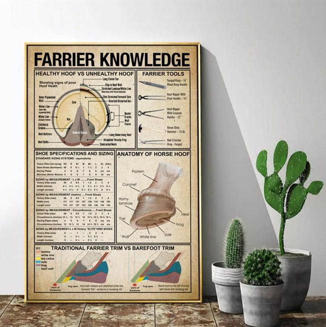 Horse Knowledge Poster, Farrier Knowledge,healthy Hoof, Unhealthy Hoof ...