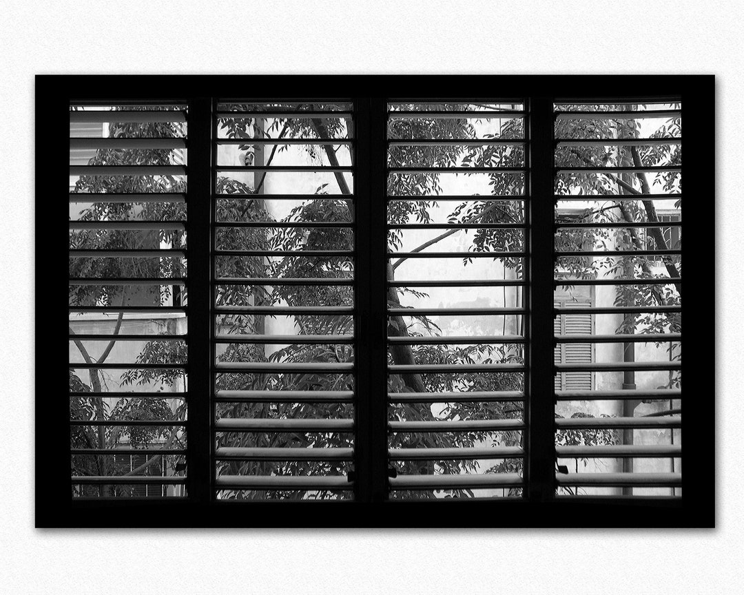 An Extra Window for Your Home or Office (-, Window View Photography ...