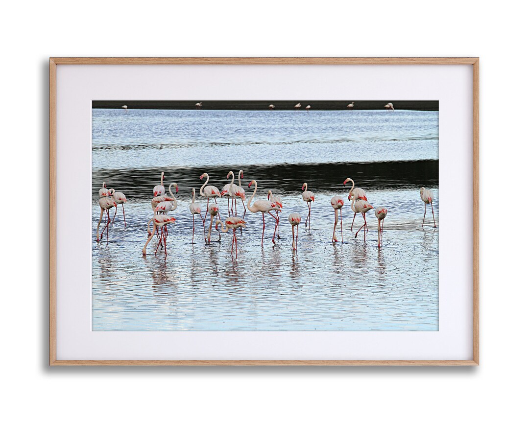 X Flamingos Fine Art Photo ~ Into the Wild in Tanzania Safari ...