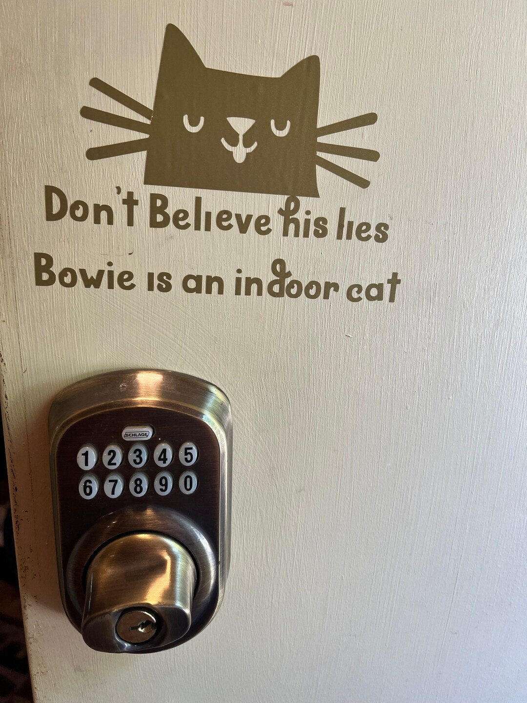 Cat Door Sticker - Etsy