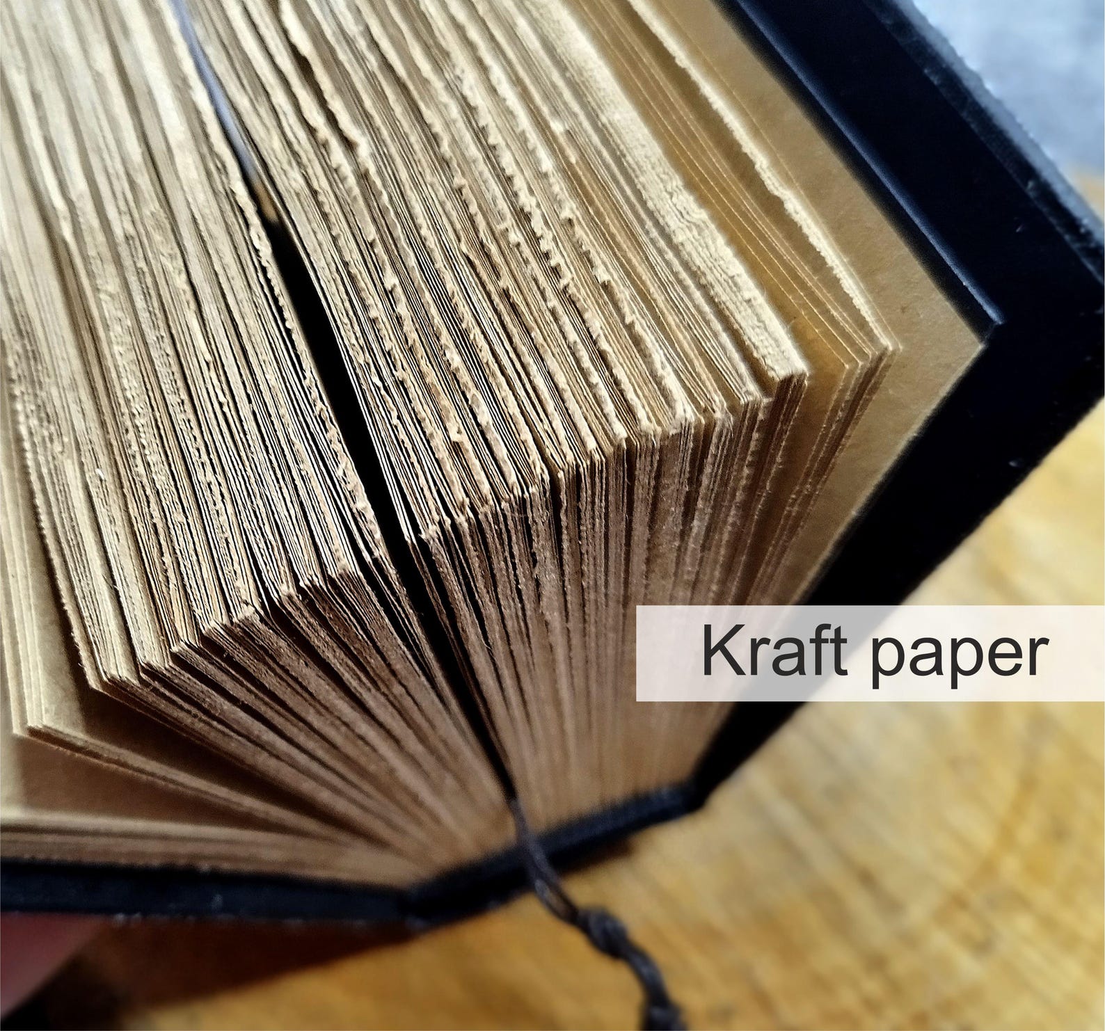 Minimalist Grimoire Journal, Gothic Cutecore Tiny Books With Spider ...