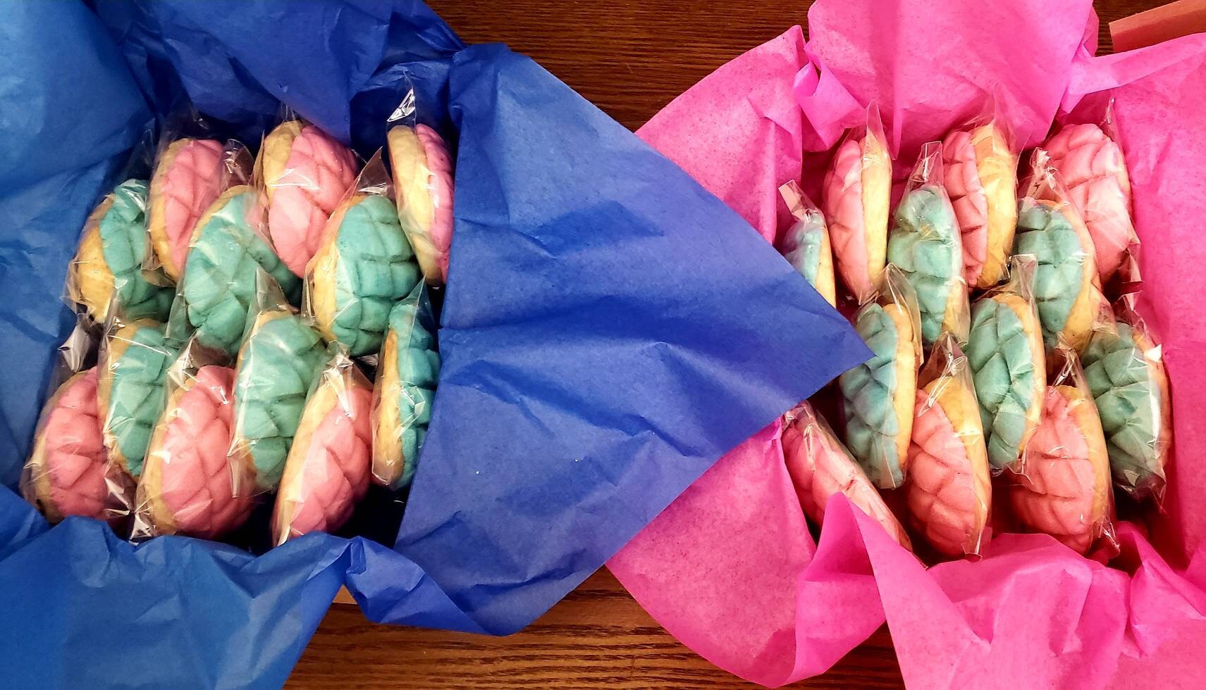 Gender reveal 13 mini conchas pan dulce | Etsy