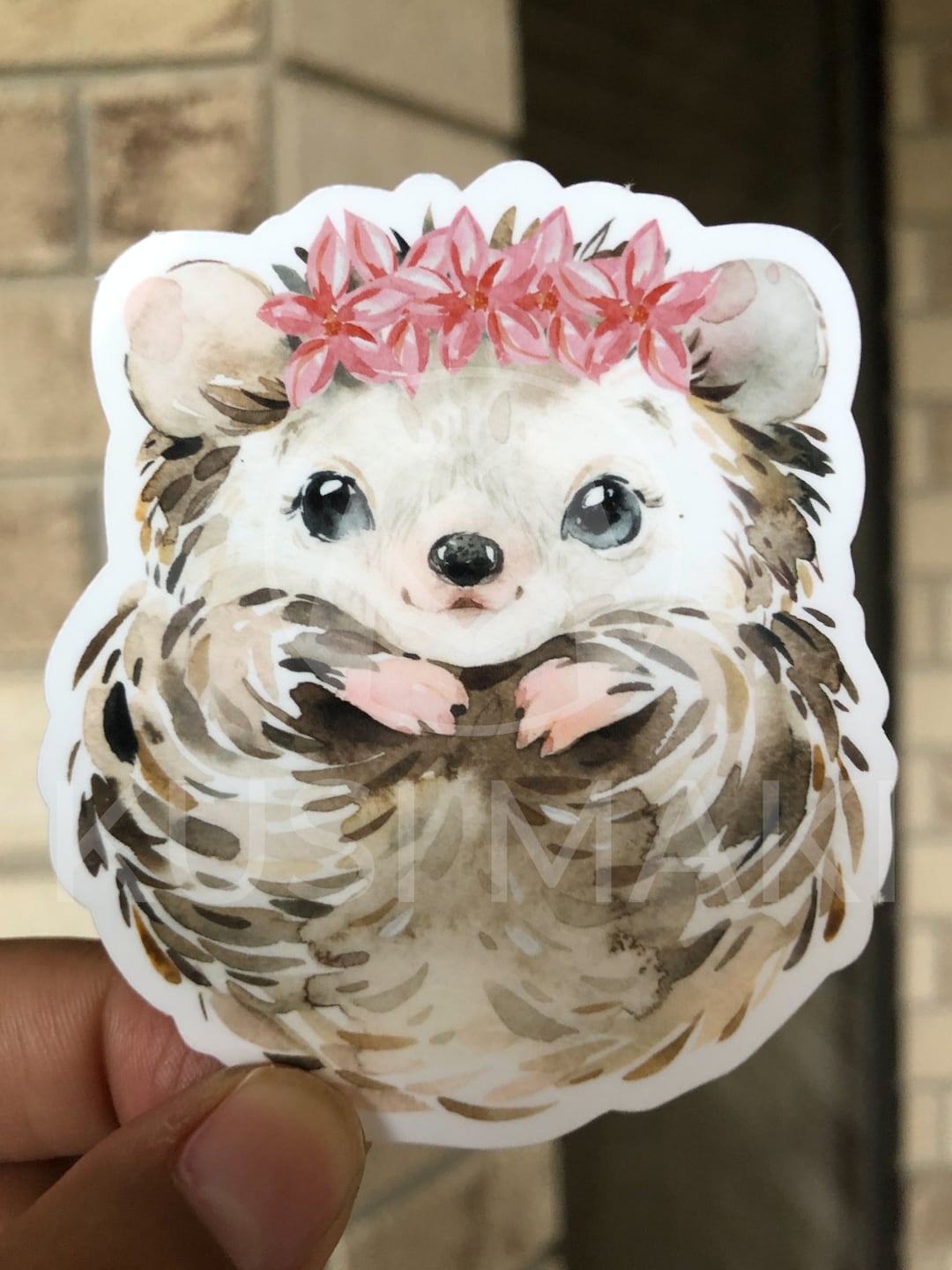 Cute Hedgehog Vinyl Sticker | Laptop Sticker | Hedgehog Gift | Water ...