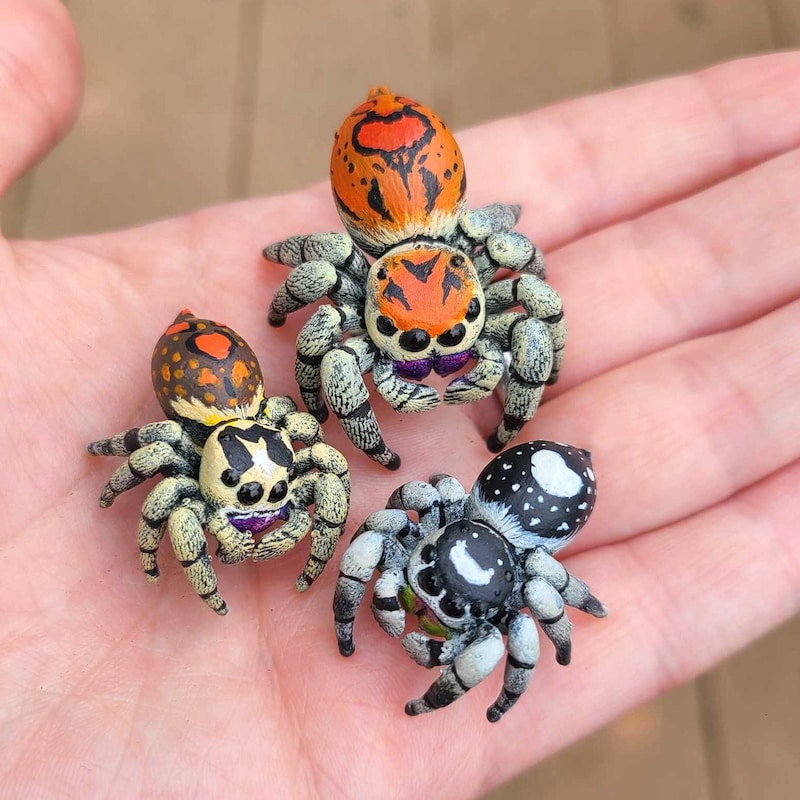 Samini Spiderini Ritual - Etsy Canada