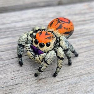 Regal Jumping Spider Figure - Red Phase Phidippus Regius - Hand Painted ...