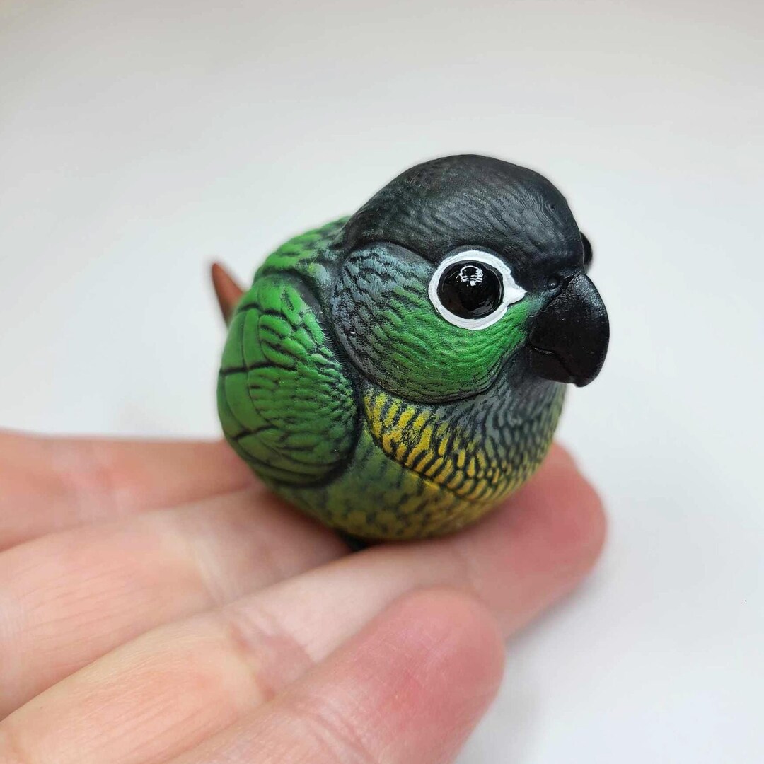 Green Cheek Conure Borb Figure - Hand Painted Resin Parrot - Etsy