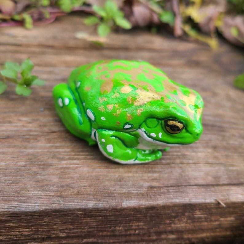 Gold Flake Australian White's Tree Frog / Dumpy - Frog Nugget ...