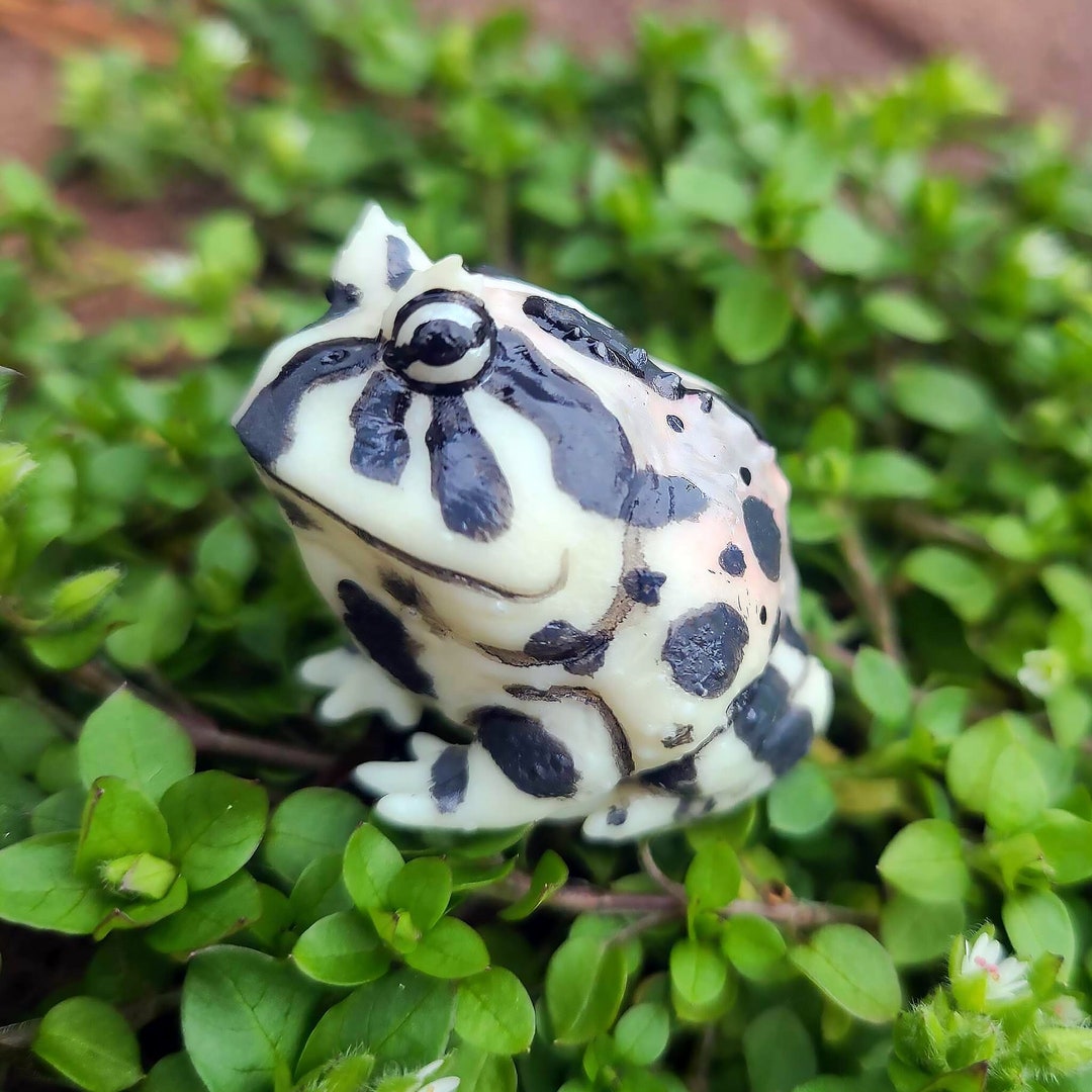 Phantom Mutant Pacman Frog Figure Realistic Handpainted Resin - Cute ...