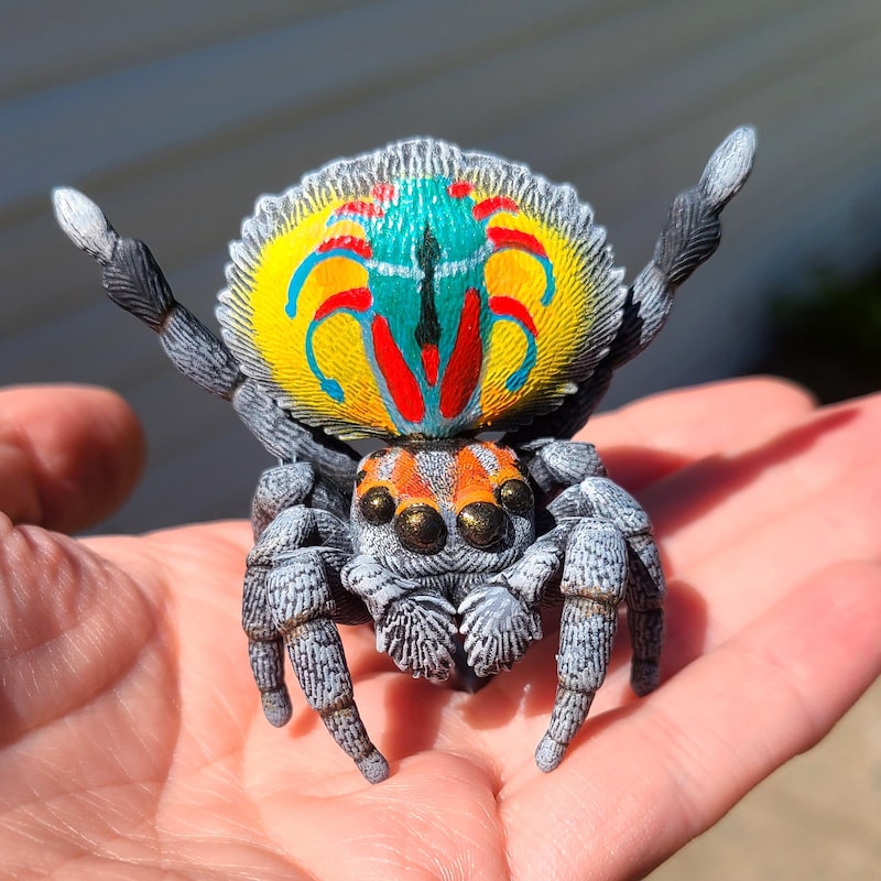 Spider Plush - Etsy