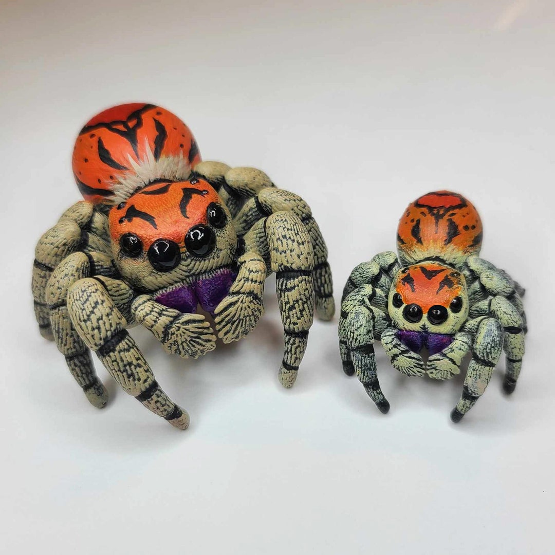 Large Regal Jumping Spider Figure - Hand Painted Resin Spider - Etsy