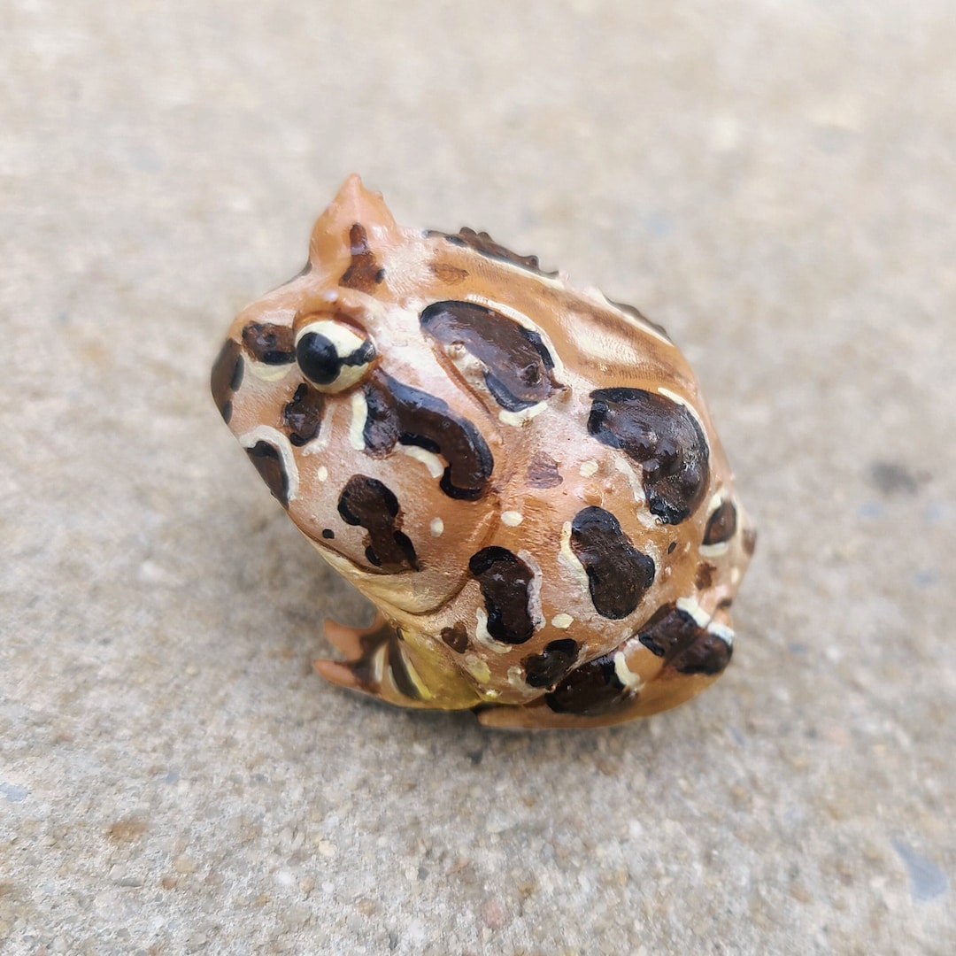 Chocolate Samurai Pacman Frog Figure Realistic Handpainted Resin Cute ...