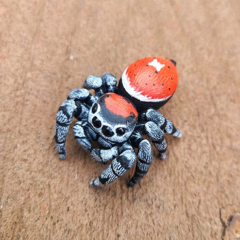 California Red Jumping Spider Figure- Male Phidippus Adumbratus - Hand ...