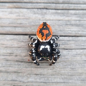 Jumping Spider Pin - Multiple Species - Hand Painted Resin Spider With ...