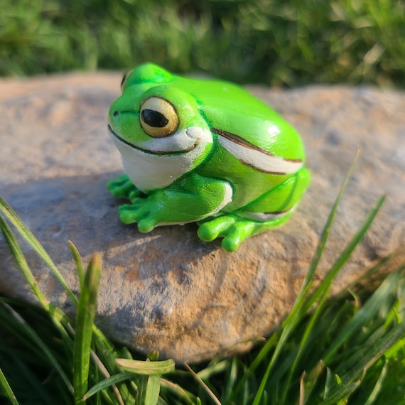 American Green Tree Frog