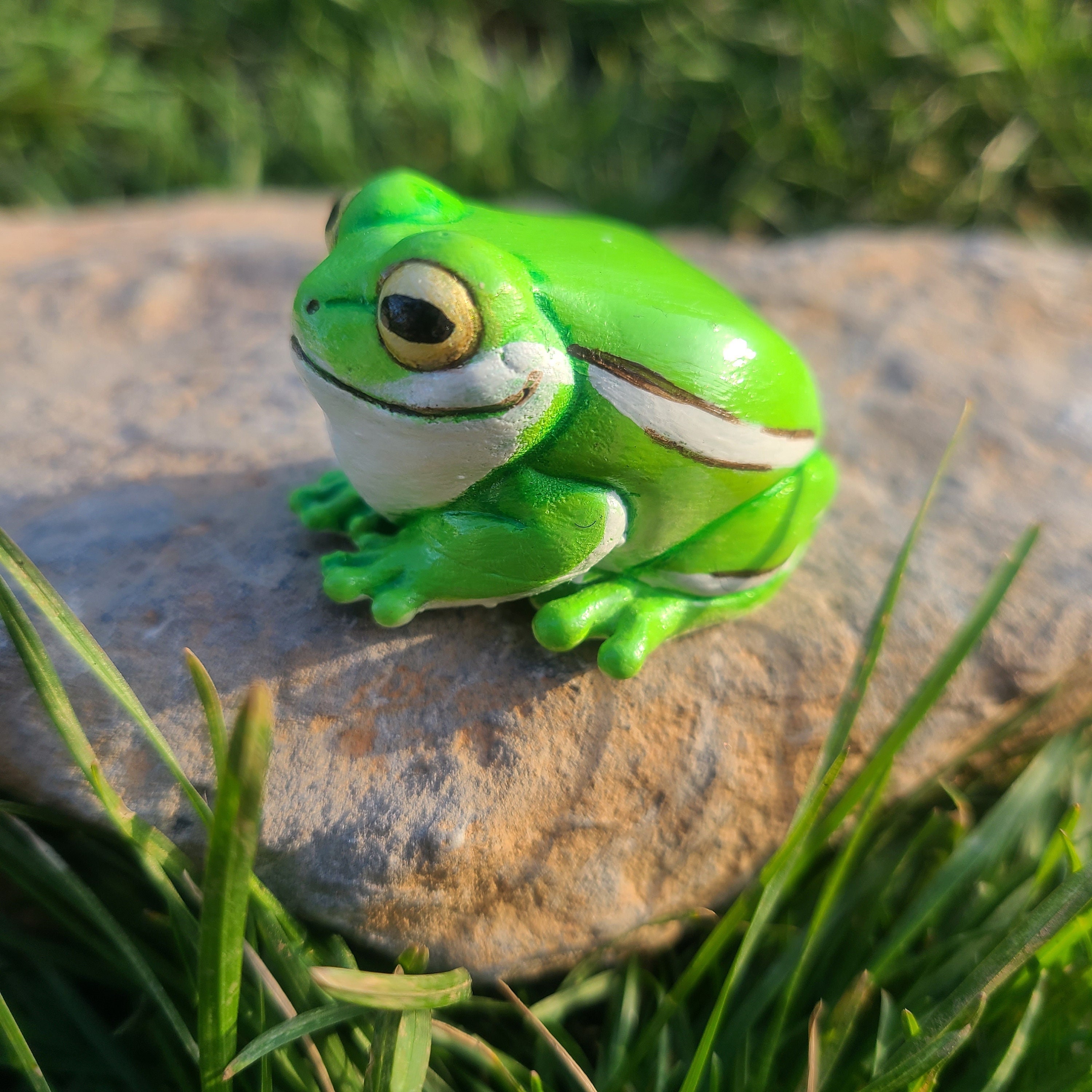 American Green Tree Frogs