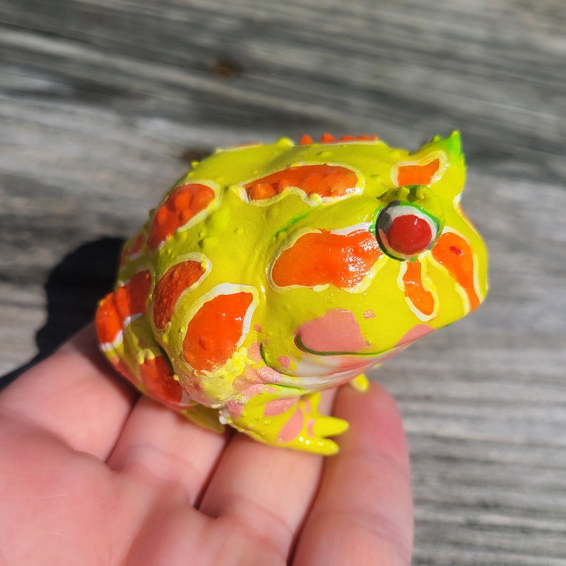 Albino Pacman Frog Figure Realistic Handpainted Resin - Cute Desk Pet ...