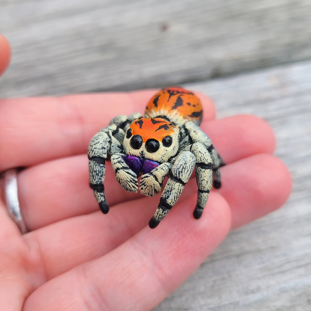 Regal Jumping Spider Figure - Red Phase Phidippus Regius - Hand Painted ...