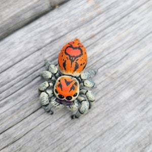 Regal Jumping Spider Figure - Red Phase Phidippus Regius - Hand Painted ...