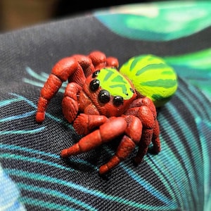 Watermelon Jumping Spider Pin - Hand Painted Resin Spider With Rubber ...