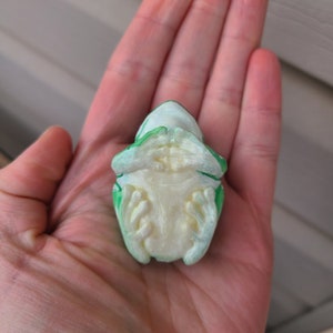 Australian White's Tree Frog / Dumpy - Frog Nugget - Realistic Hand ...