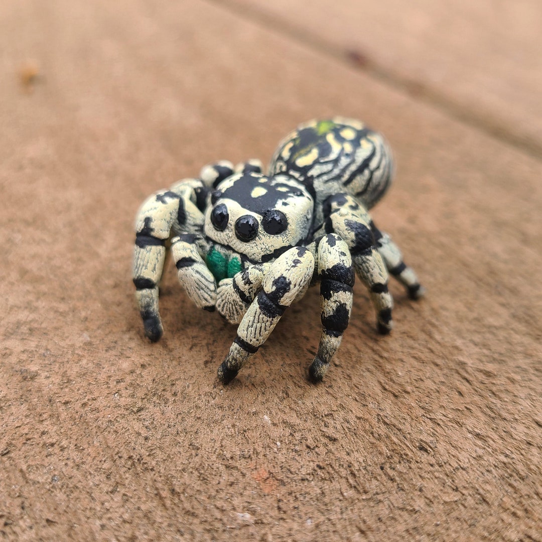 Canopy Jumping Spider Figure - Phidippus Otiosus - Hand Painted Black ...