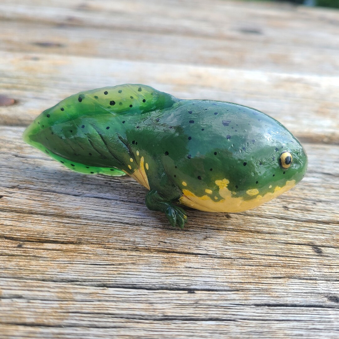 American Bullfrog Tadpole Figure - Hand Painted Realistic Resin Frog ...