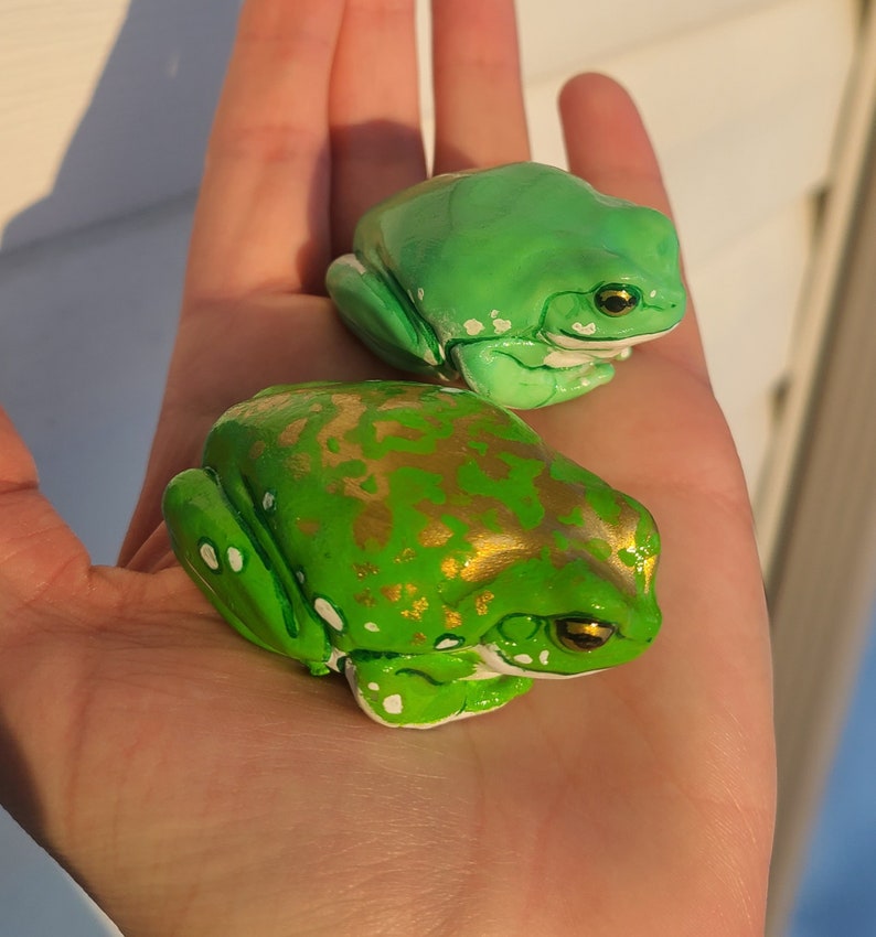 Gold Flake Australian White's Tree Frog / Dumpy - Frog Nugget ...