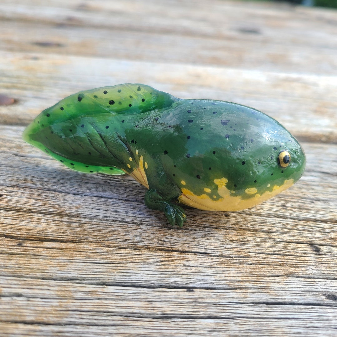 American Bullfrog Tadpole Figure Hand Painted Realistic Resin Frog Cute ...
