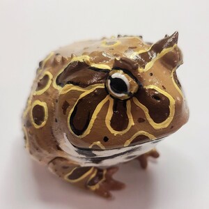 Chocolate Samurai Pacman Frog Figure Realistic Handpainted Resin Cute ...