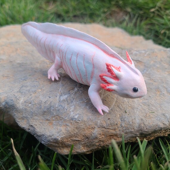 Leucistic Axolotl Resin Figure Realistic Handpainted | Etsy