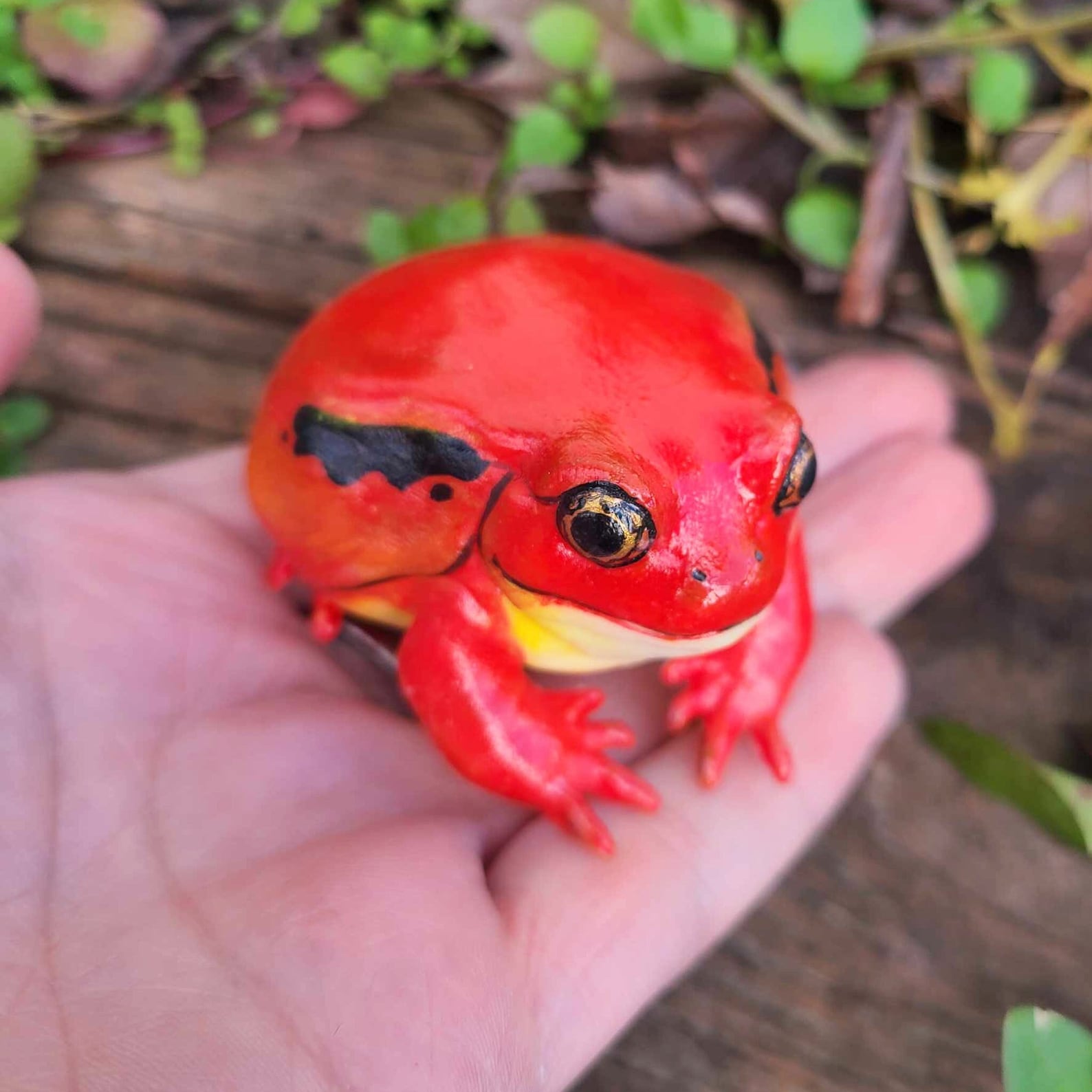 Tomato Frog Figure - Realistic Hand Painted Resin Frog - Cute Desk Pet ...