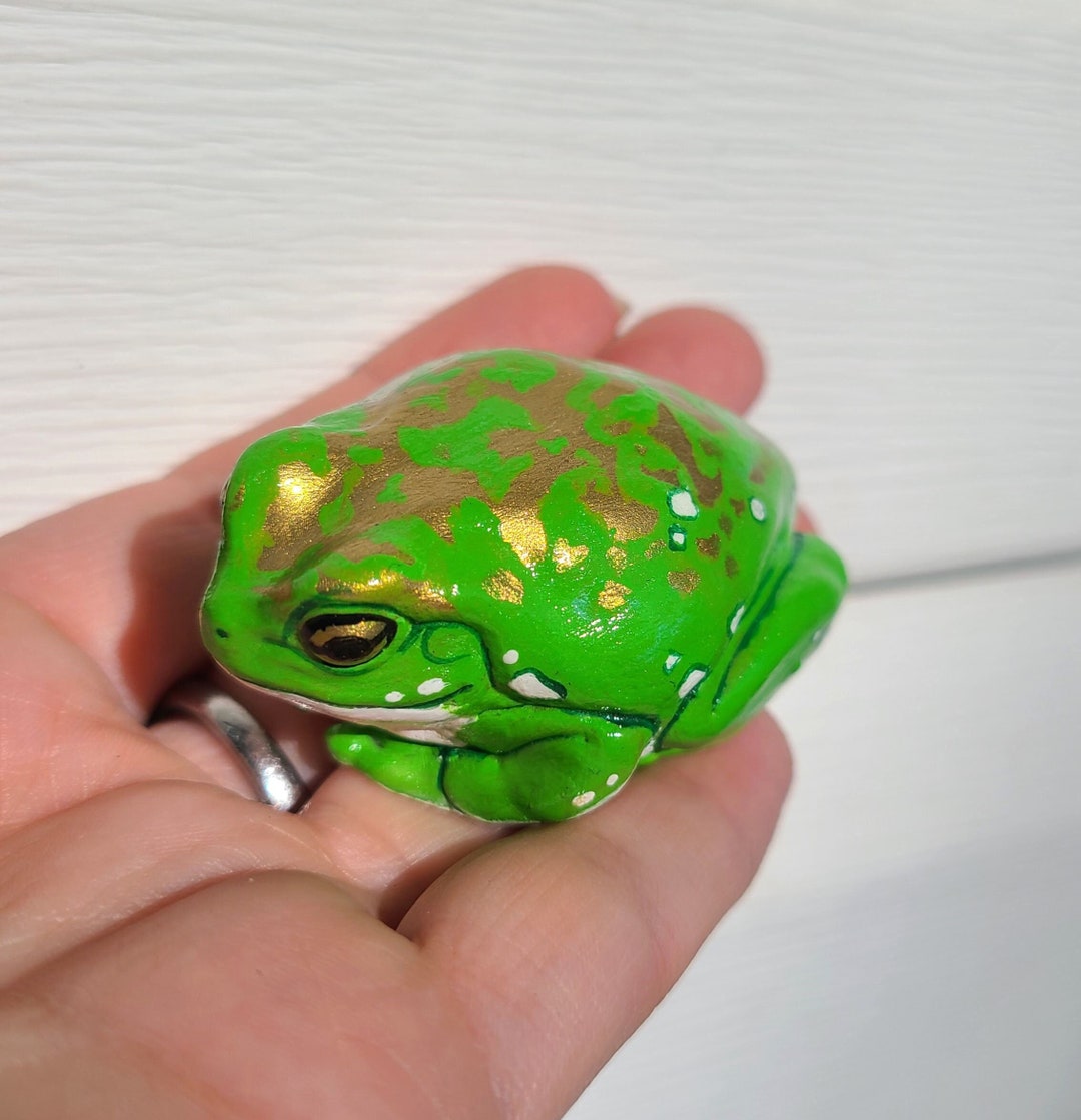 Gold Flake Australian White's Tree Frog / Dumpy - Frog Nugget ...