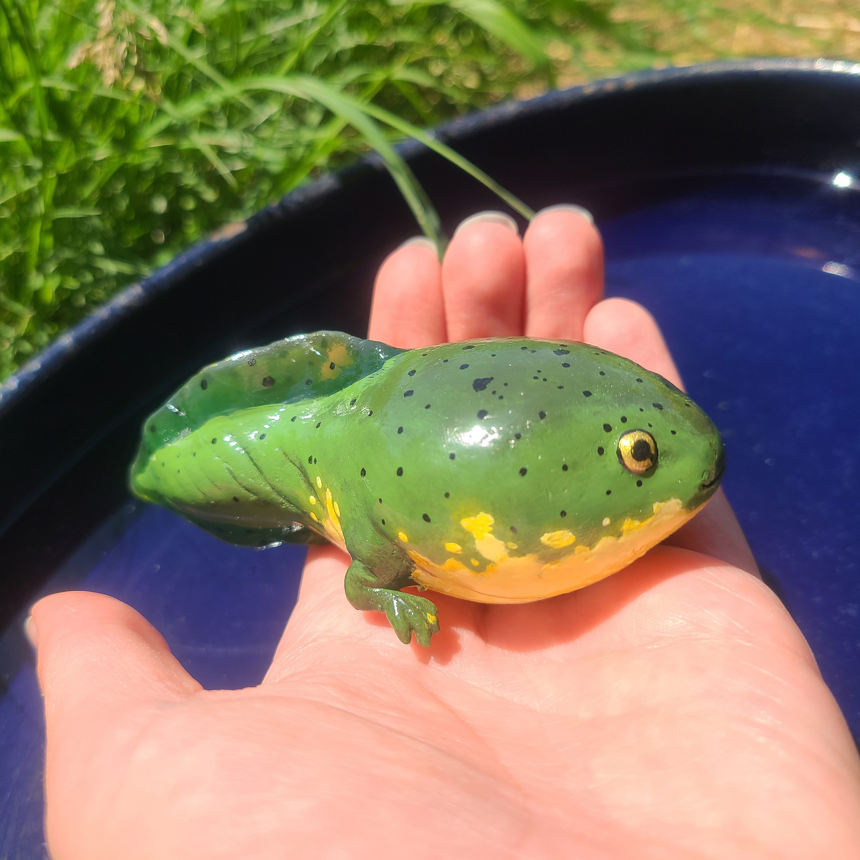 American Bullfrog Tadpole Figure Hand Painted Realistic - Etsy