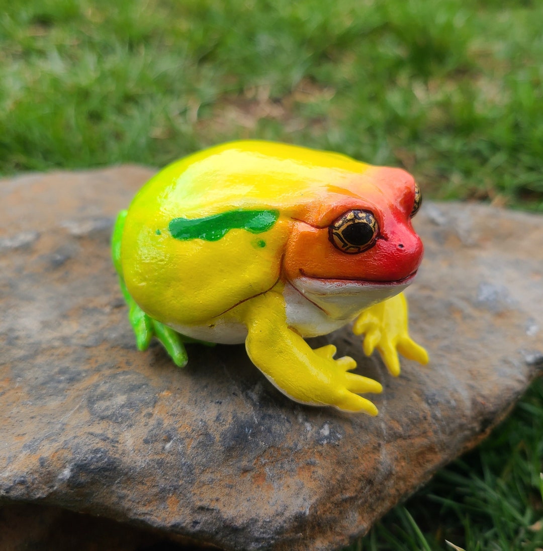 Mango Frog Figure Realistic Hand Painted Resin Frog Cute Desk Pet ...