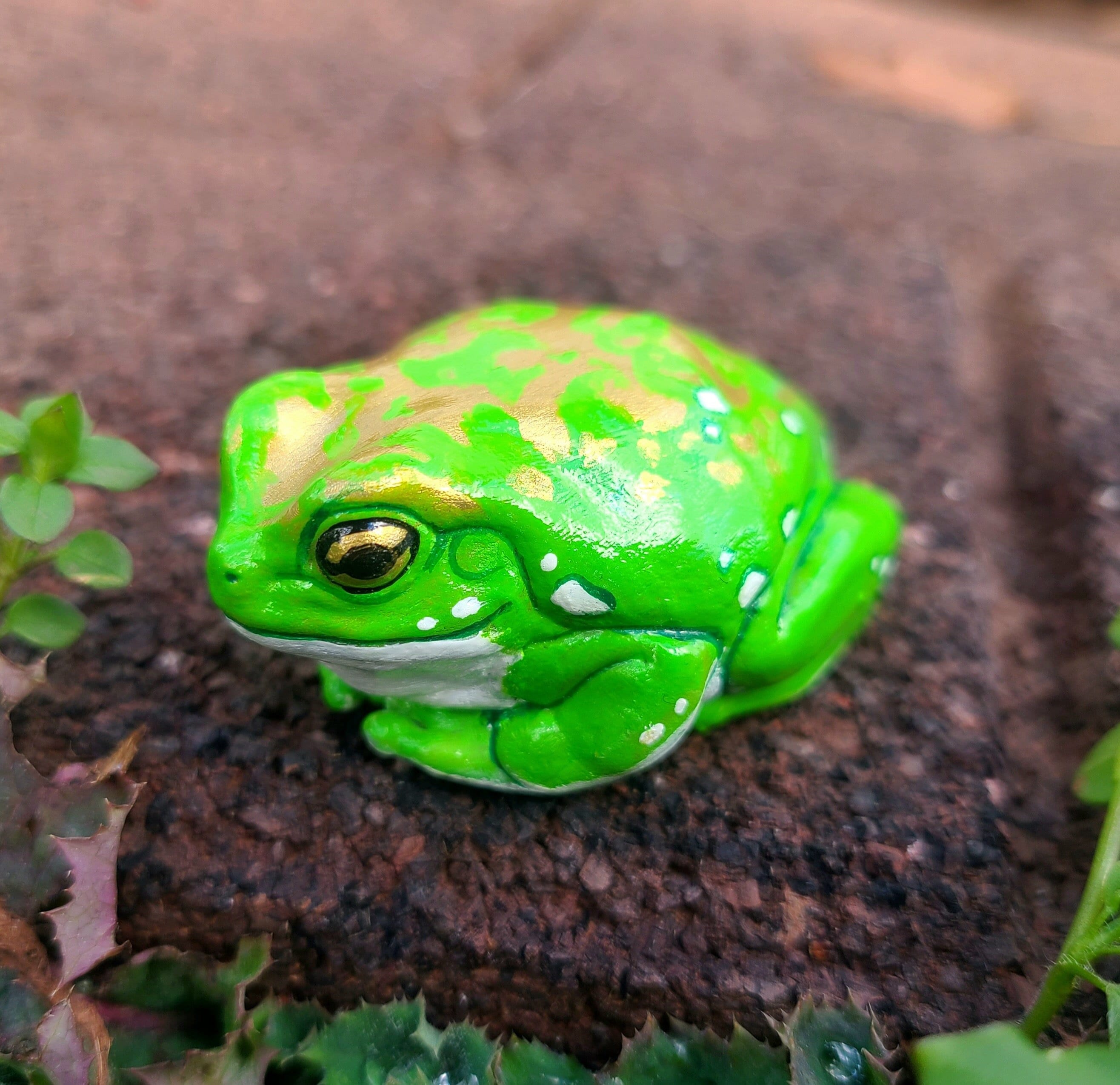 Gold Flake Australian White's Tree Frog / Dumpy - Frog Nugget ...