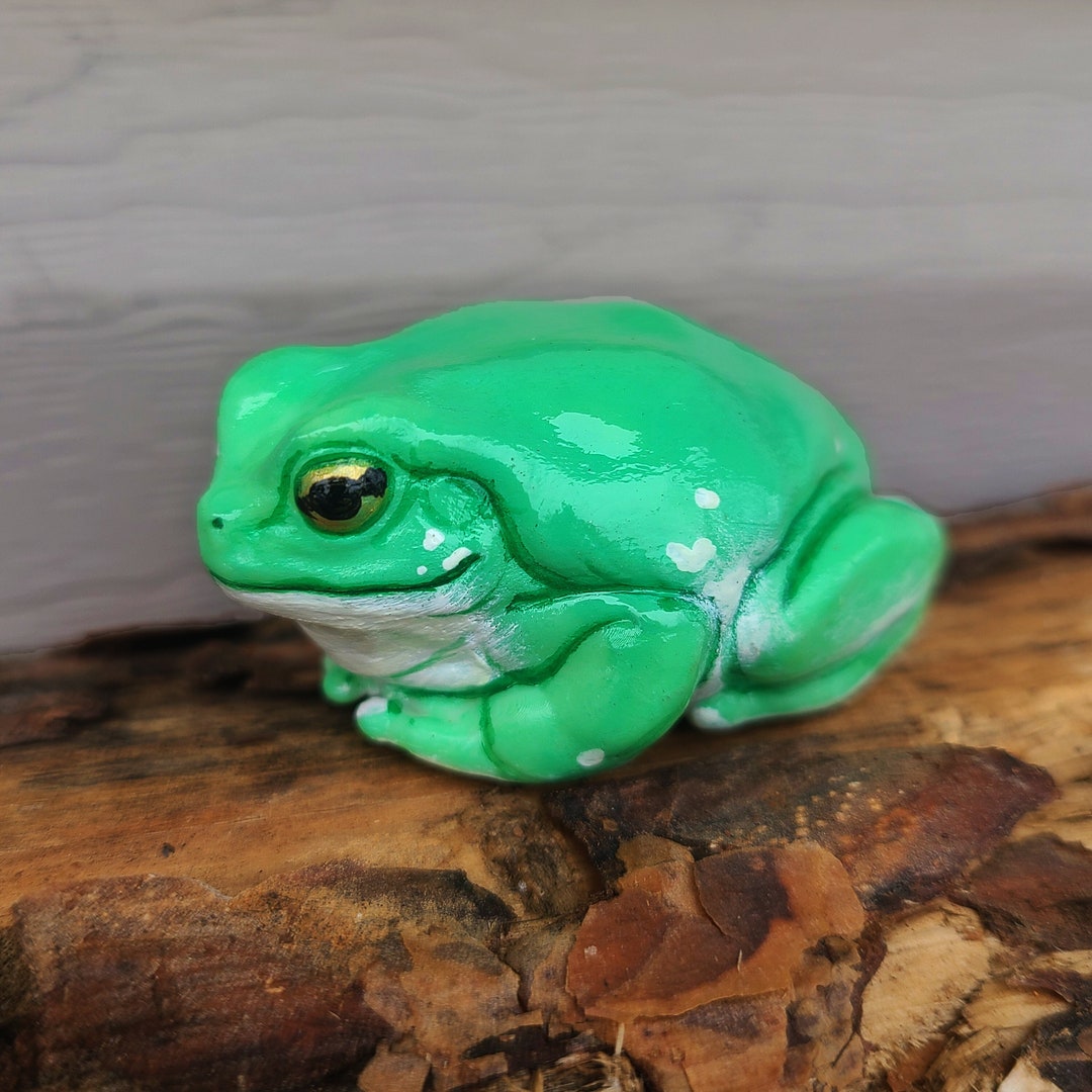 Australian White's Tree Frog / Dumpy - Frog Nugget - Realistic Hand ...