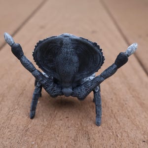 Peacock Jumping Spider Figure - Male Maratus Volans - Hand Painted ...