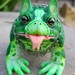 French Bullfrog Frog Handpainted Resin Statue - Multiple Size and Color ...