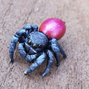 Jumping Spider Pin - Multiple Species - Hand Painted Resin Spider With ...