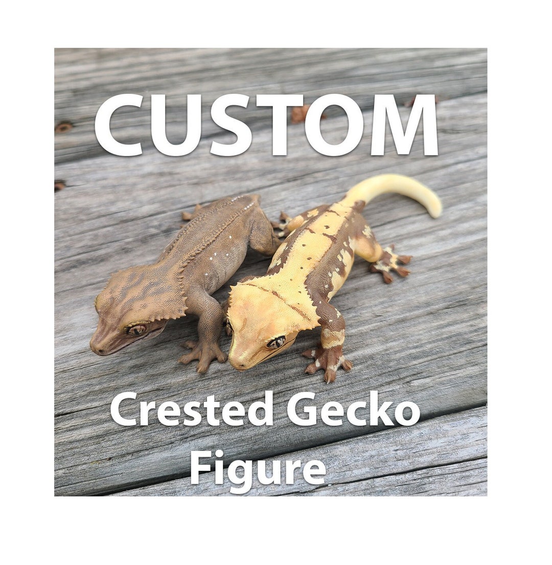 Custom Crested Gecko Lizard Figure Based on Photo - Hand Painted Resin ...