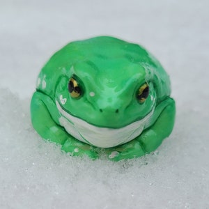 Australian White's Tree Frog / Dumpy - Frog Nugget - Realistic Hand ...