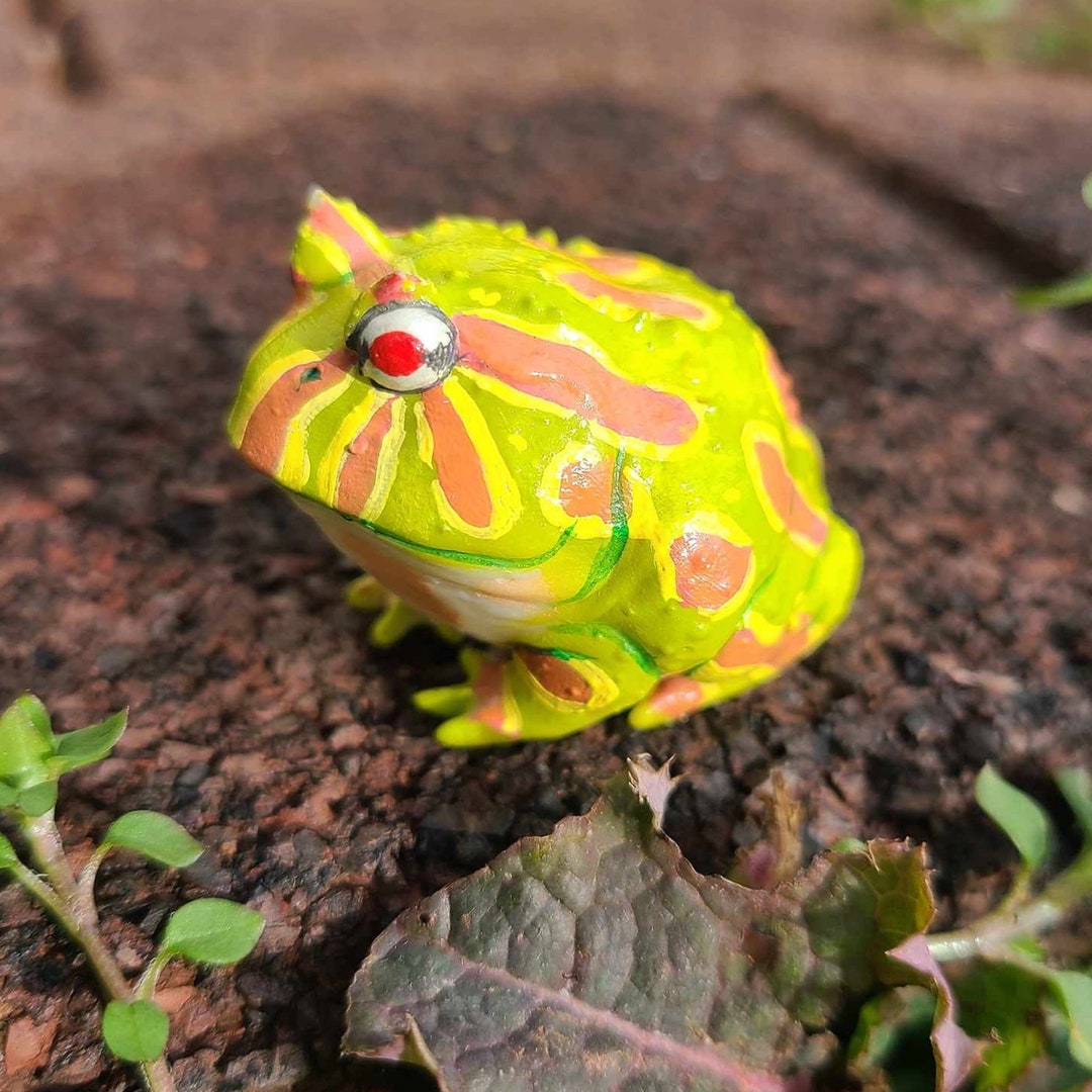 Albino Pacman Frog Figure Realistic Handpainted Resin Cute Desk Pet ...