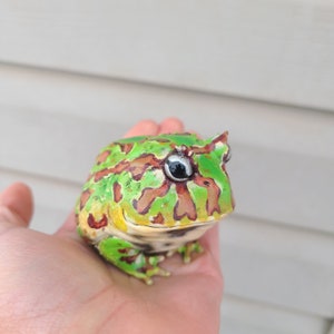 CUSTOM Pacman Frog Figure Realistic Handpainted Resin - Based on Your ...