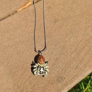 Jumping Spider Necklace - Multiple Species - Hand Painted Resin Spider ...