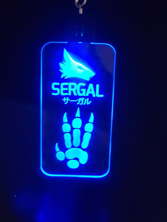 Sergal Acrylic Rechargeable LED Badge Color Changing - Etsy