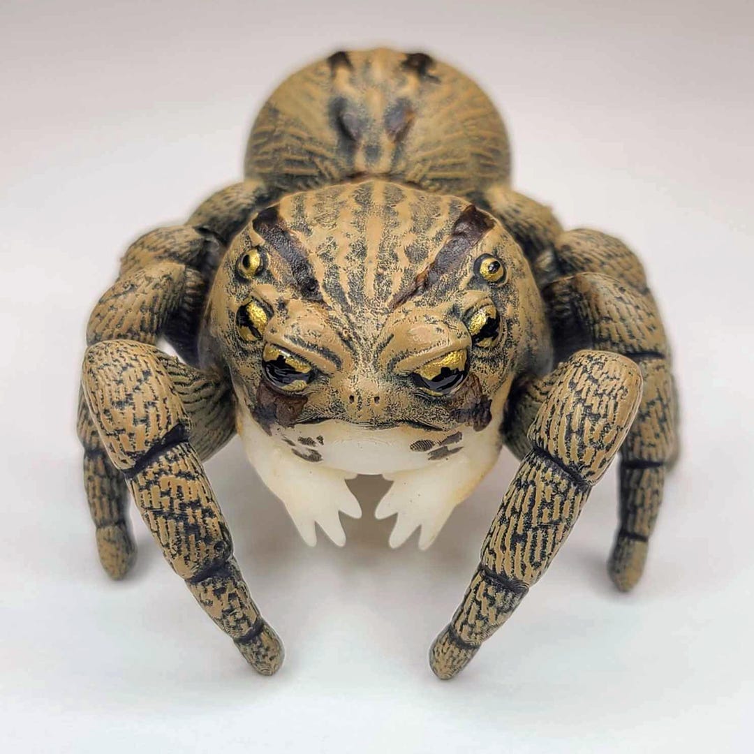 Jumping Spider Rain Frog Figure - "rain Frider" - Cute Hand Painted ...